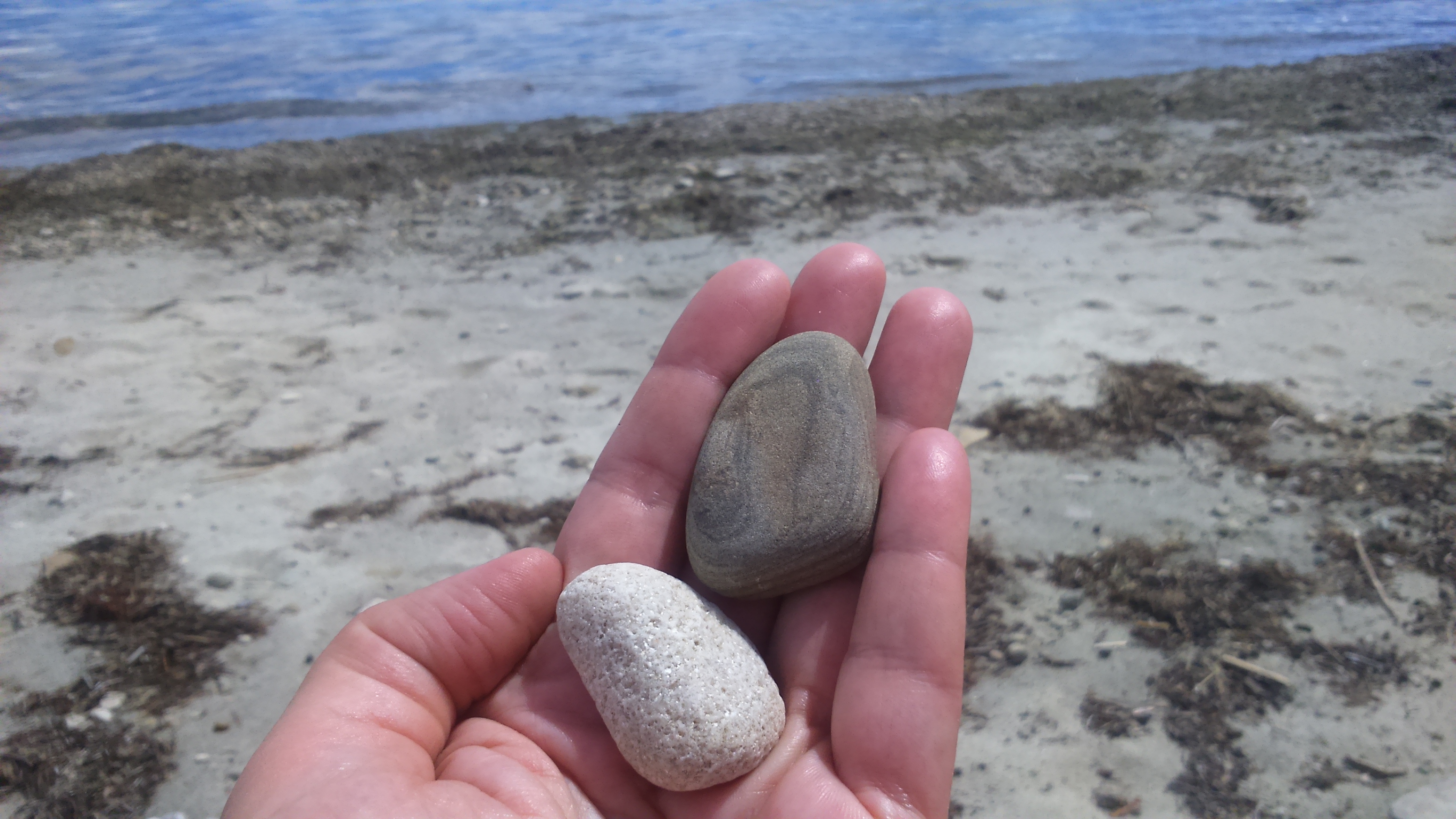 Medicina Tradicional Inca – crecimiento y sanación esencial